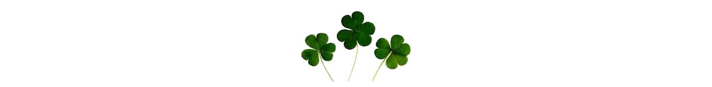 2x2 Fact Sheet - Cherie Kropp-Ehrig